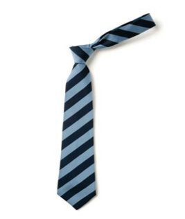 Skoolkit